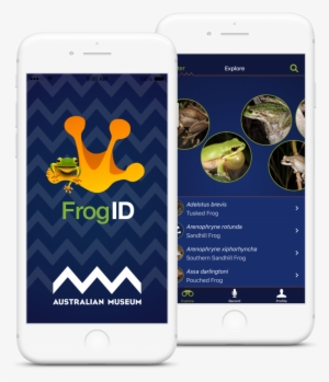 Frog Id Australian Museum PNG Image | Transparent PNG Free Download on ...