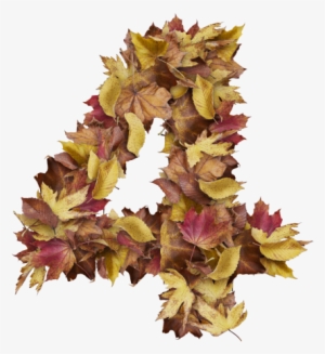 4 Number With Dry Leaves - Silver Maple PNG Image | Transparent PNG ...