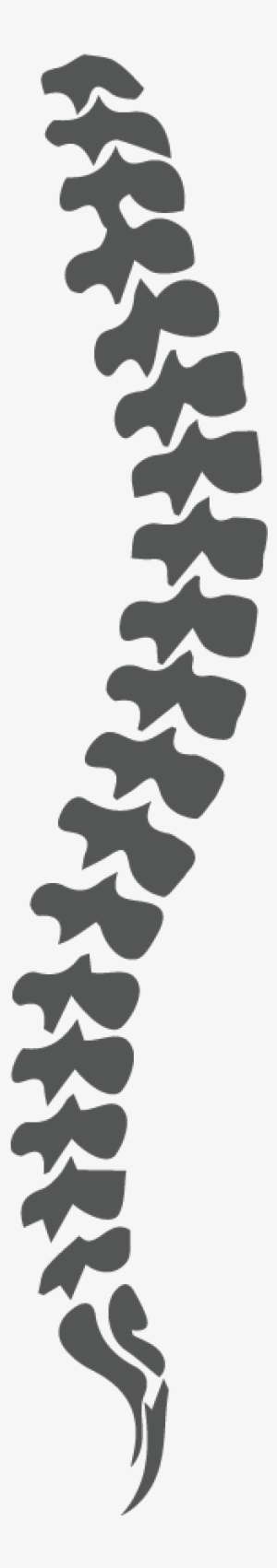 Spine - Orthopedic Black And White PNG Image | Transparent PNG Free ...