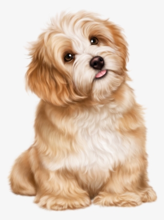 Christmas - Chiot Cute PNG Image | Transparent PNG Free Download on SeekPNG