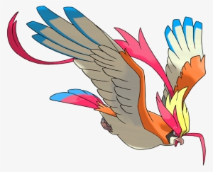 Important Notice Pokemon Shiny Mega Pidgeot Is A Fictional - Pokemon ...