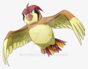 Pigiotto - Pidgeotto Png PNG Image | Transparent PNG Free Download on ...