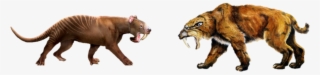 Fig - Life Cycle Of A Sabertooth PNG Image | Transparent PNG Free ...