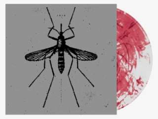 Isis - Mosquito Control - Isis The Mosquito Control PNG Image ...