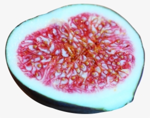 Common Fig PNG Image | Transparent PNG Free Download on SeekPNG