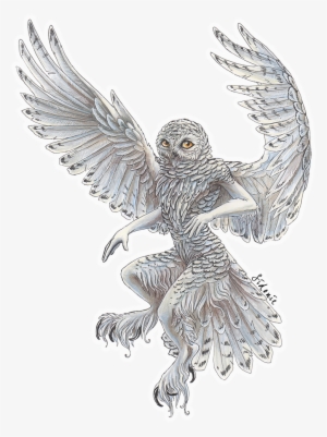 Snowy Owl By Sidonie On Deviantart Png Free Download - Transparent ...