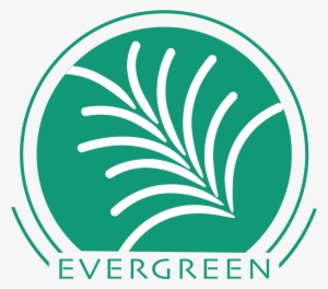 Evergreen Trademark Policy - Evergreen PNG Image | Transparent PNG Free ...