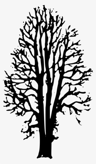 Svg Royalty Free Onlinelabels Clip Art - Beech Tree Clip Art PNG Image ...