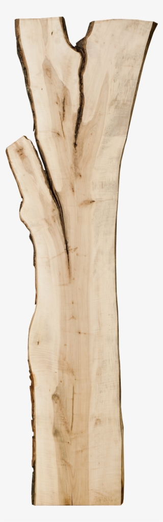 Live Edge Tree - Live Edge PNG Image | Transparent PNG Free Download on ...