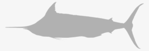 Marlin Outline Png PNG Image | Transparent PNG Free Download on SeekPNG