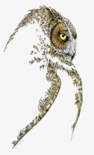 Great Horned Owl Profile V=1533656211 - Drawing Great Horned Owl PNG ...