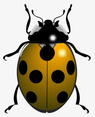 Ladybugs Clipart Ladybugs Clip Art At Clker Vector - Drawing Ladybird ...