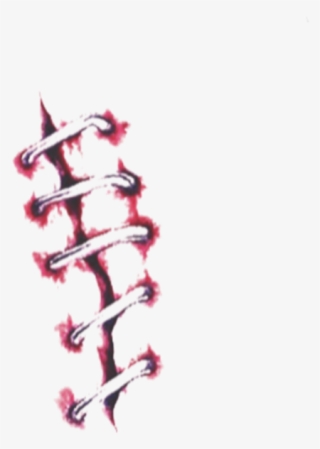 Pngs Favourites By Sachikoluver - Transparent Scars PNG Image ...