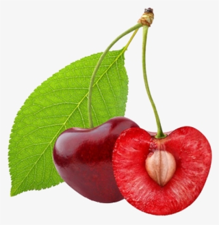 Cross Section Of A Cherry PNG Image | Transparent PNG Free Download on ...