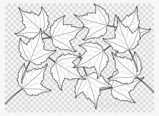 Coloring Book - Fall Journal: Coloring Cover - Blank Lined Journal PNG ...