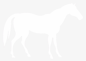 Horse-icon - Horse Clinic PNG Image | Transparent PNG Free Download on ...