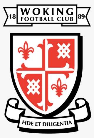 Woking - Woking Borough Council Logo PNG Image | Transparent PNG Free ...
