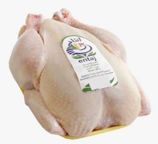Entaj Chicken - Fresh Chicken PNG Image | Transparent PNG Free Download ...