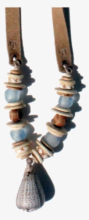 Petite Shell Necklace - Necklace PNG Image | Transparent PNG Free ...