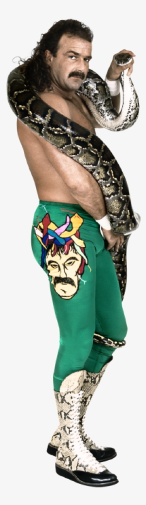Career Highlights - Wwe Jake The Snake Roberts PNG Image | Transparent ...