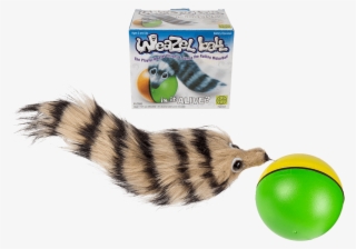 Animal Chase Ball Weasel Ball PNG Image | Transparent PNG Free Download ...