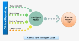 Overview - Diagram PNG Image | Transparent PNG Free Download on SeekPNG