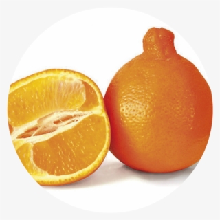 Minneola - Naranja Tangelo PNG Image | Transparent PNG Free Download on ...
