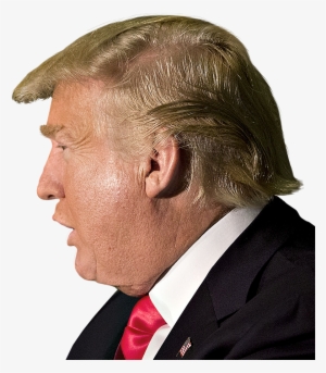 Donald Trump - Donald Trump Headshot Transparent PNG Image ...