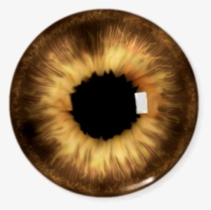 Eye Lens For Picsart PNG Image | Transparent PNG Free Download on SeekPNG
