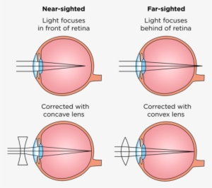 Lighter Clipart Light Ray - Path Of Light From The Time It Enters The ...