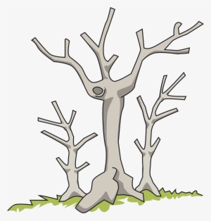 Dead Tree - Fall Trees Clipart Png PNG Image | Transparent PNG Free ...