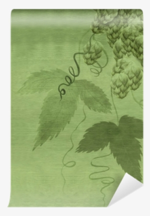 Hops Plant Watercolor Painting On Paper Wall Mural - Light Switch PNG ...