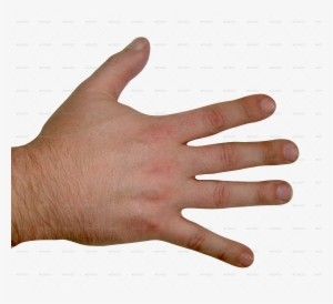 Human Hand Textures - Puberty Hands PNG Image | Transparent PNG Free ...