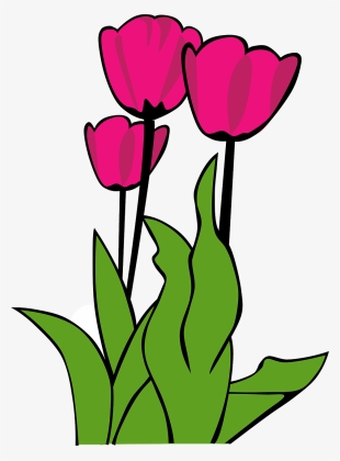 How To Set Use Tulips Svg Vector PNG Image | Transparent PNG Free ...
