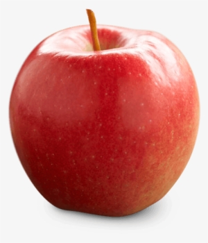 All About Apples - Mcintosh Red PNG Image | Transparent PNG Free ...