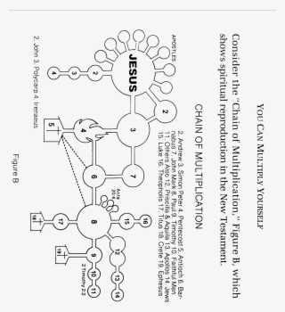 Chain Of Multiplication - Diagram PNG Image | Transparent PNG Free ...