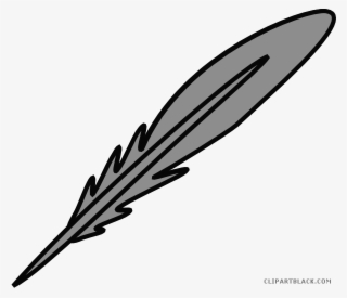 Turkey Feather Clipart - Turkey Feathers Transparent Clipart PNG Image ...