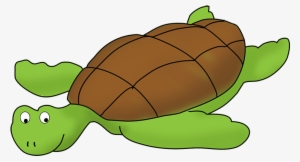 Art Green Watercolor Turtle Transparent - Water Color Turtles PNG Image ...