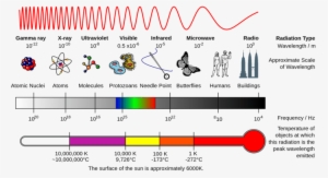 The Electromagnetic Spectrum, Tiny Wavelengths On The - Radiation Waves ...