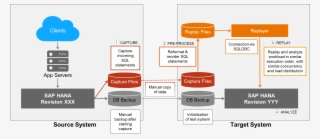 Sap Logo - - Sap Hana PNG Image | Transparent PNG Free Download on SeekPNG