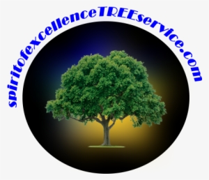 Full Tree Service Company Including Maintenance And - Tunnel Tent For 4 ...