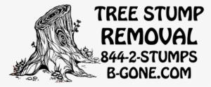 Tree Stump Removal North Carolina East Coast Usa - Wyco Products ...