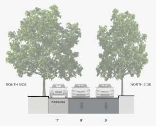Existing One-way Configuration Of Line Street - Tree PNG Image ...
