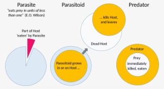 Open - Predators Parasites And Parasitoids PNG Image | Transparent PNG ...