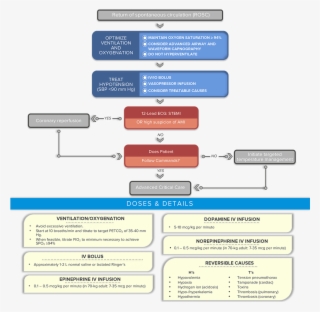 Post-cardiac Arrest Care Acls Algorithm - Post Cardiac Arrest Case PNG ...