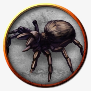 Giant Spider - Osrs Giant Spider PNG Image | Transparent PNG Free ...