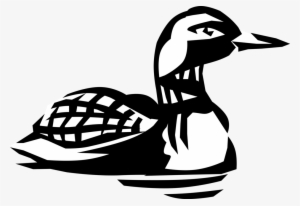 Vector Illustration Of North American Aquatic Diving - Loon Vector PNG ...