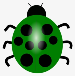 Ladybugs Clipart Ladybugs Clip Art At Clker Vector - Drawing Ladybird ...