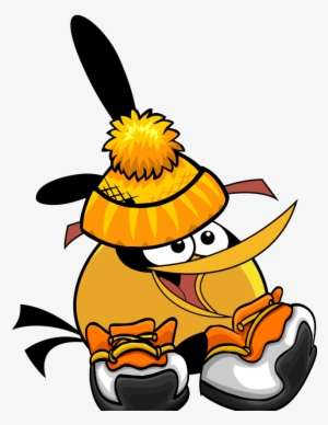Image - Orange Angry Bird Png PNG Image | Transparent PNG Free Download ...