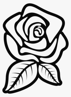 Big Image - Out Line Of Rose PNG Image | Transparent PNG Free Download ...